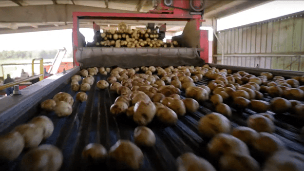 America's Potato Farmers: Bryan Jones, Florida | Potato Goodness
